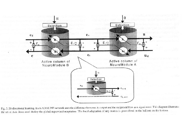 Visually guided movements learning with modular neural maps