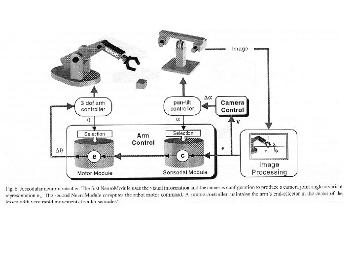 Visually guided movements learning with modular neural maps