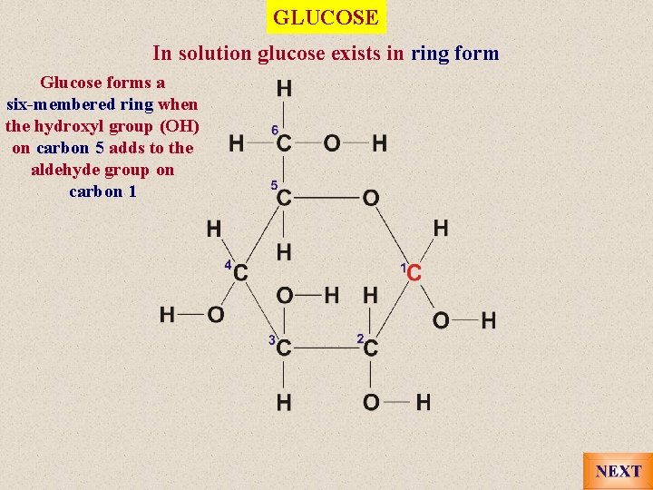 SSER Ltd Carbohydrates are compounds of great importance