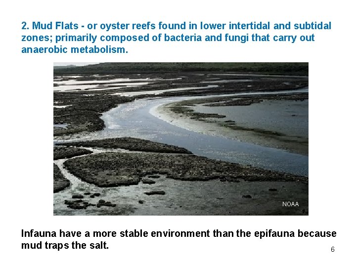 12 44 ESTUARIES Estuaries are semienclosed transition areas
