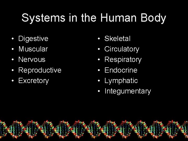 Cells to Systems Directional Anatomy Cells Every organism