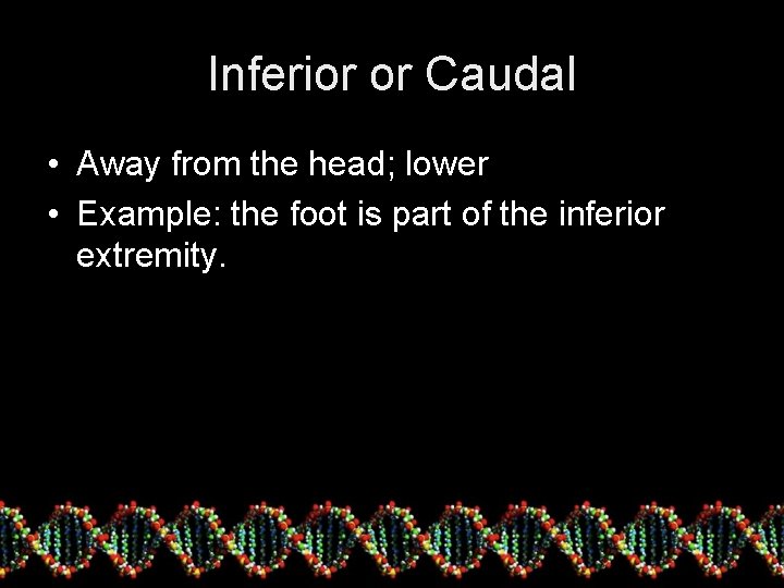 Cells to Systems Directional Anatomy Cells Every organism