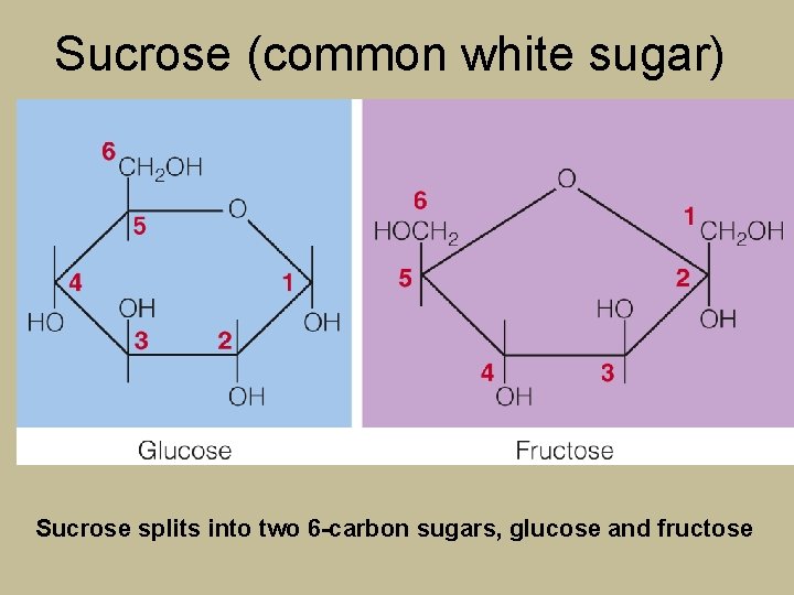 The Carbohydrates Sugars Starches and Fibers Chapter 4