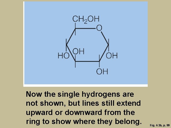 The Carbohydrates Sugars Starches and Fibers Chapter 4