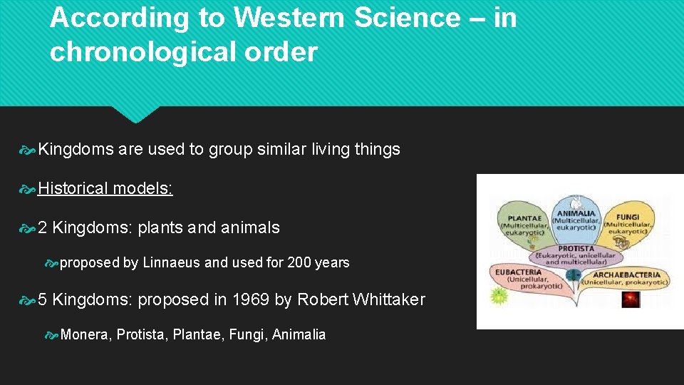 Relationships Among Living Things Taxonomy Western Science describes