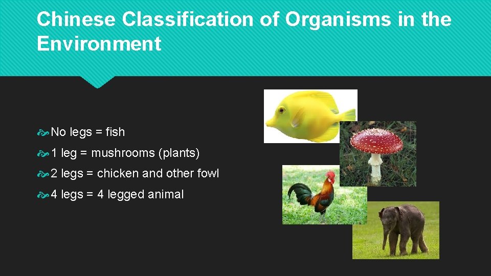 Relationships Among Living Things Taxonomy Western Science describes