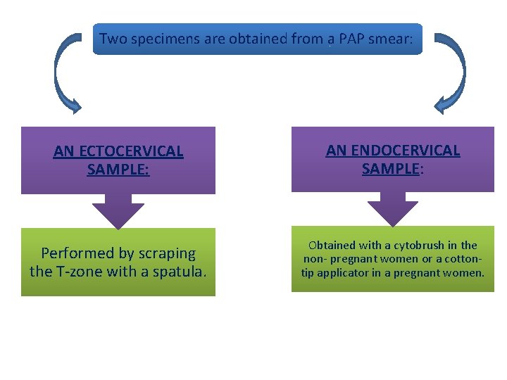 Carcinoma CERVIX Dr Madhavi Karki ETIOLOGY The most