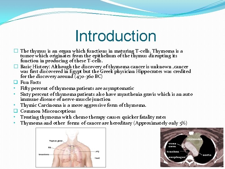 Thymoma Cancer By Juliana Casillas Carmen Huitron Introduction