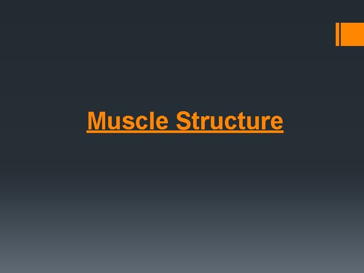 Muscle Structure The Connective Tissue of Muscle 1