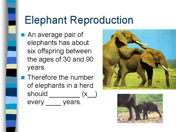 Population Growth Too Many Elephants Elephant Reproduction An