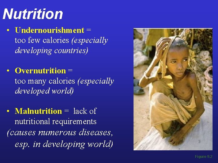 Chapter 14 Food Soil Resources Global food production
