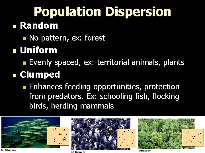 9 Population Dynamics Carrying Capacity and Conservation Biology