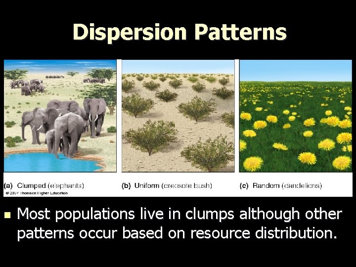 9 Population Dynamics Carrying Capacity and Conservation Biology