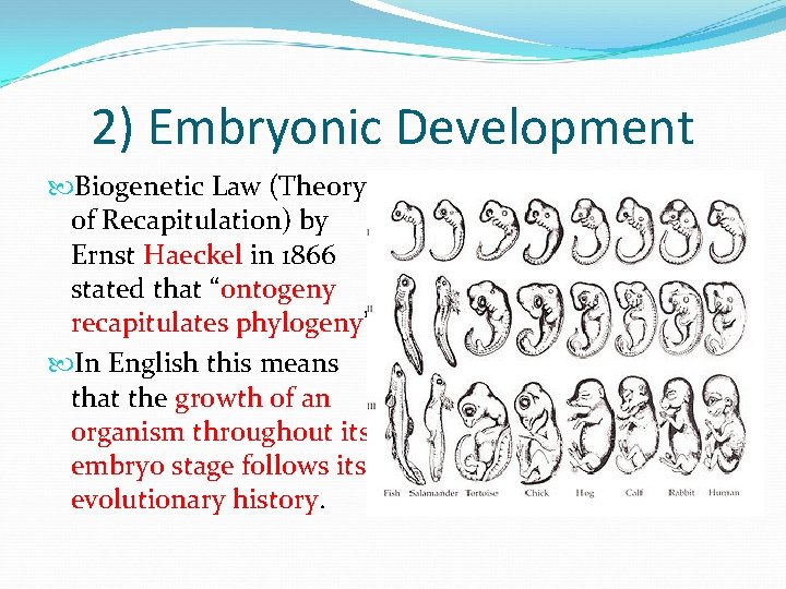 Proof Of Evolution Evolution by Natural Selection Evolution