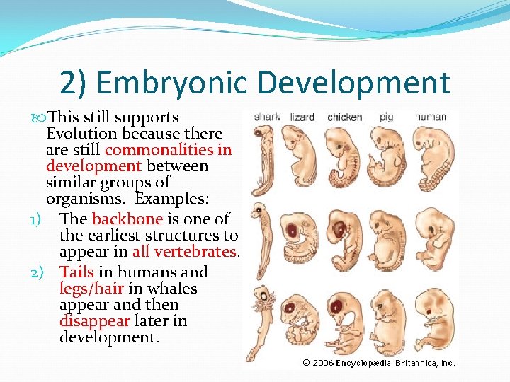 Proof Of Evolution Evolution by Natural Selection Evolution