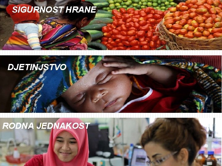 INKLUZIVNO OBRAZOVANJE I CILJEVI ODRIVOG RAZVOJA AGENDA 2030