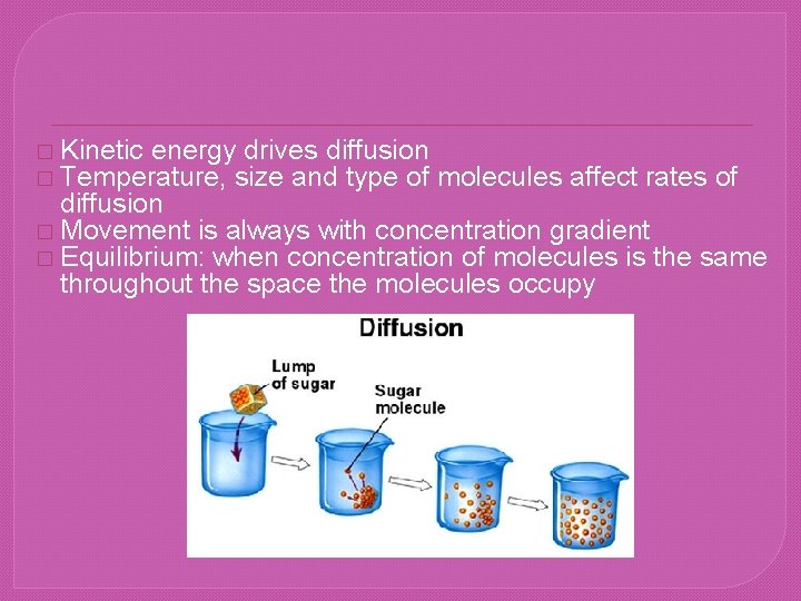 Passive Transport Honors Biology Recall Its all about