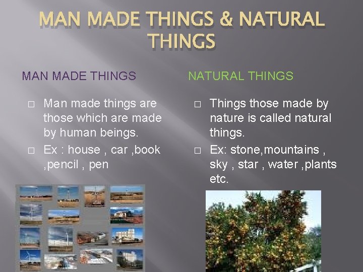 OUR ENVIRONMENT Class II Lliving things Living things
