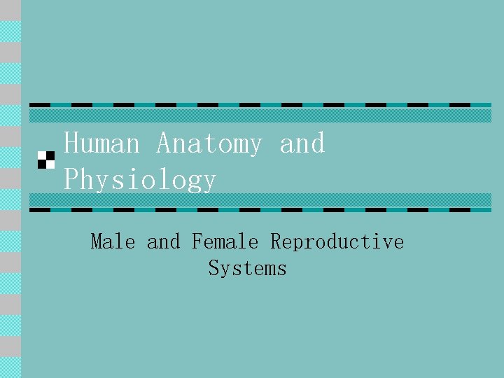 Human Anatomy and Physiology Male and Female Reproductive