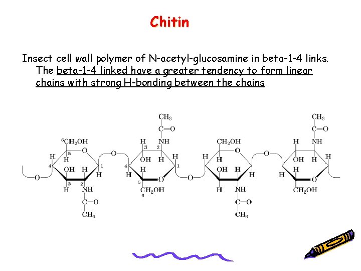 BB 1004 Glycobiology Lecture 1 Carbohydrate polymers Introduction