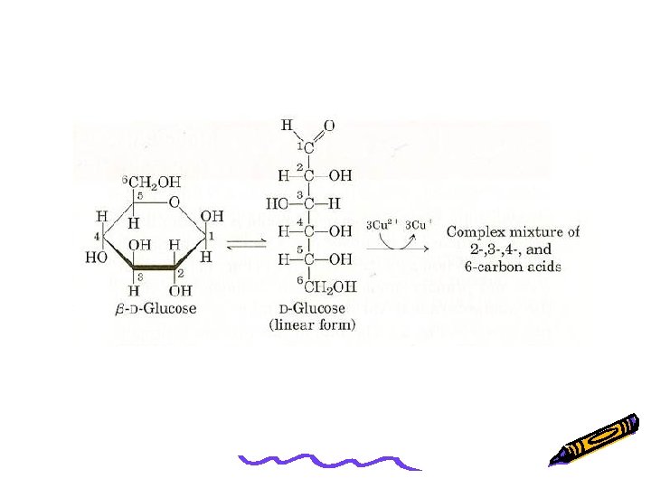 BB 1004 Glycobiology Lecture 1 Carbohydrate polymers Introduction