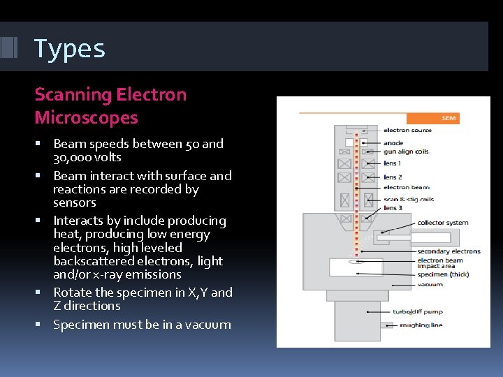 ELECTRON MICROSCOPY Kane Smith Garrett Luallen and Jesse