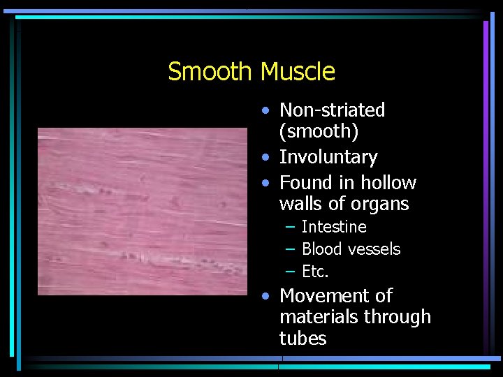 The Muscular System Functions Anatomy Functions of the