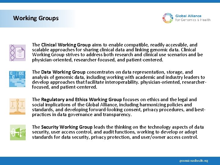 Human Rights Approach Bartha M Knoppers Director of