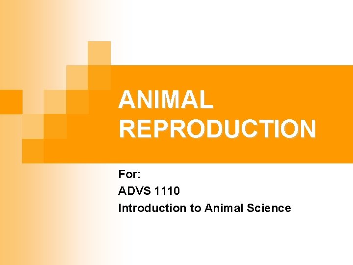 ANIMAL REPRODUCTION For ADVS 1110 Introduction to Animal