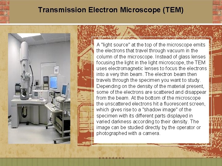 Types of Electron Microscopes Electron microscopes use a