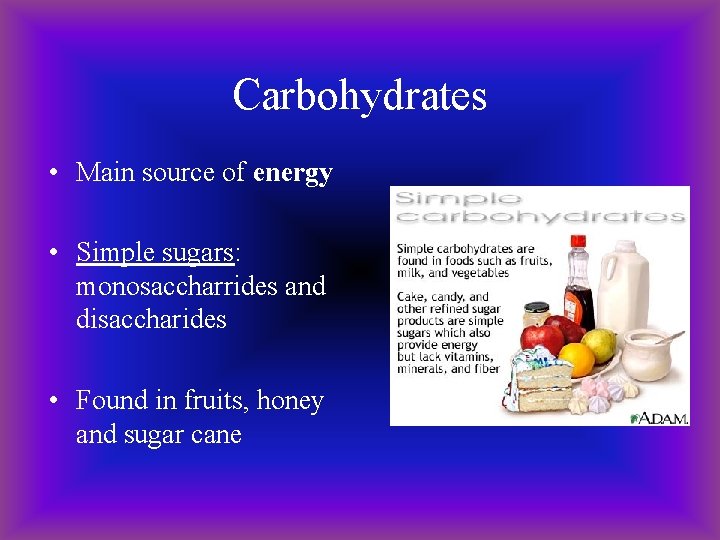 Digestive and Excretory Systems Chapter 38 Biology II