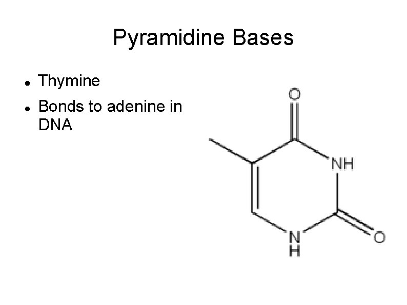 Structure of DNA Chemical Components Sides of the