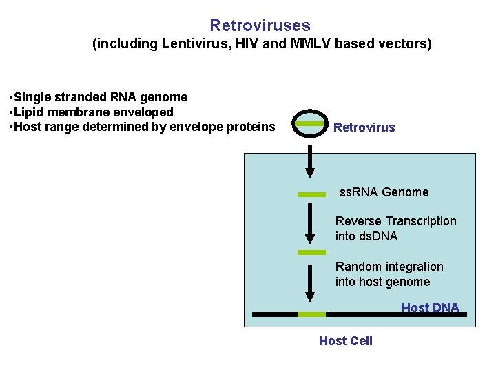 Introduction to RetroLentiviral Vectors and the Institutional Biosafety