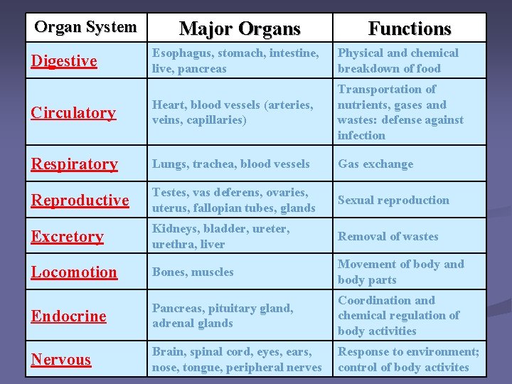 Unit 3 Animal Anatomy Physiology Looking Inside the