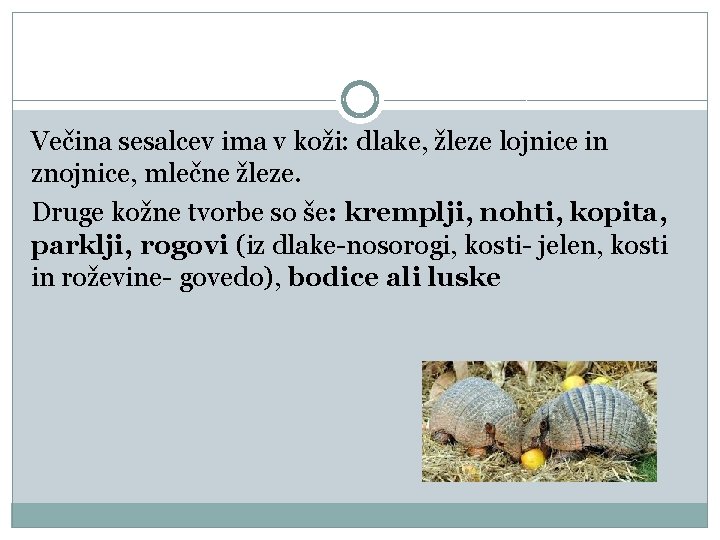 KROVNE STRUKTURE Koa je zunanji del telesa VLOGA