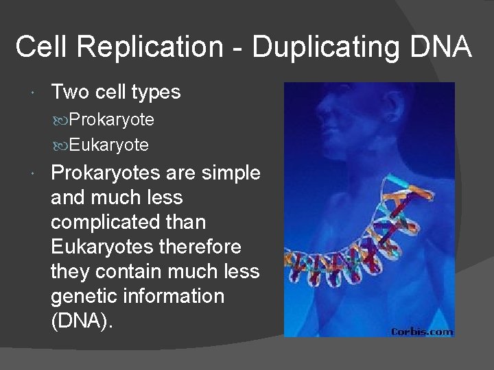 THE BLUE PRINT OF LIFE DNA the Molecule