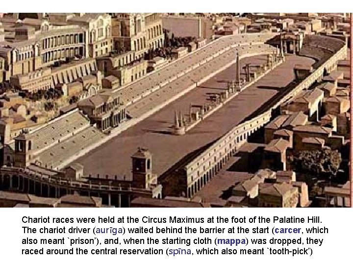 Chariot races were held at the Circus Maximus