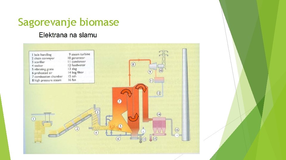 BIOMASA Korienje energije biomase u svetu Biomasa je
