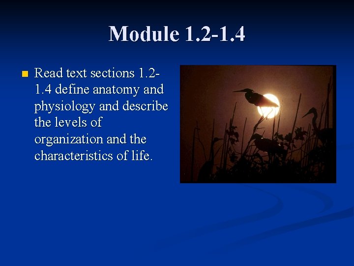 Module 1 2 1 4 n Read text