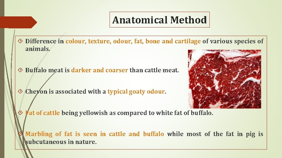 Meat Speciation Introduction Mixing of meat of one