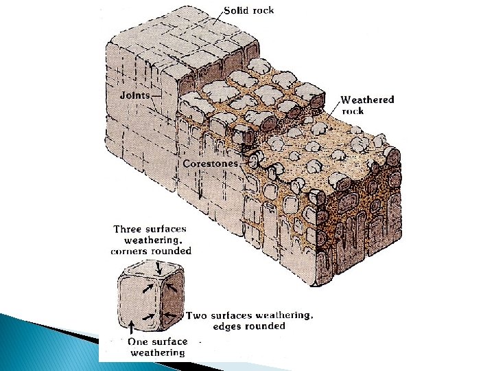 Rates of Weathering Weathering Rates Weathering in nature