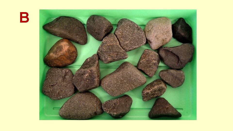 Long intermediate and short pebble diameters are measured