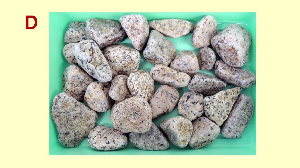 Long intermediate and short pebble diameters are measured