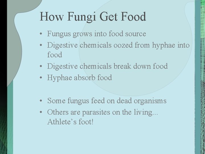Fungi Fungi Can be unicellular yeasts Can be