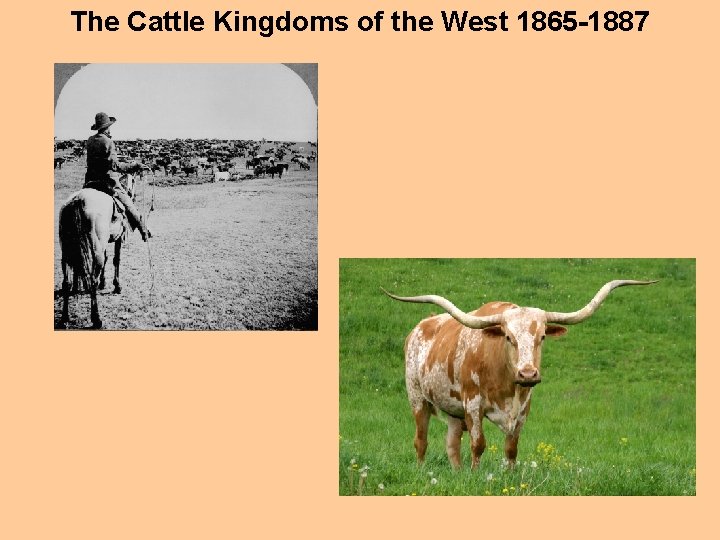 The Cattle Kingdoms of the West 1865 1887