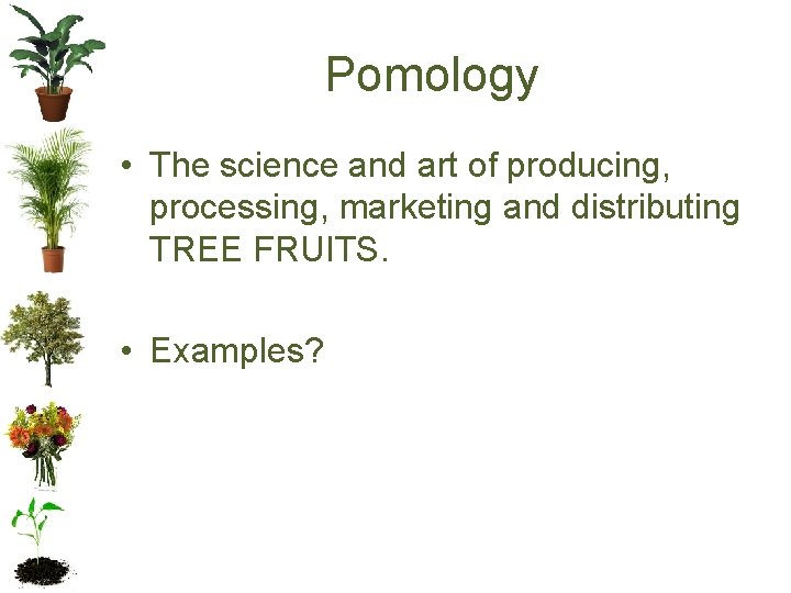BIG PAPER Write as many PLANT commodities as