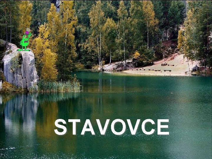 STAVOVCE obojivelnky a plazy 5 r V lese