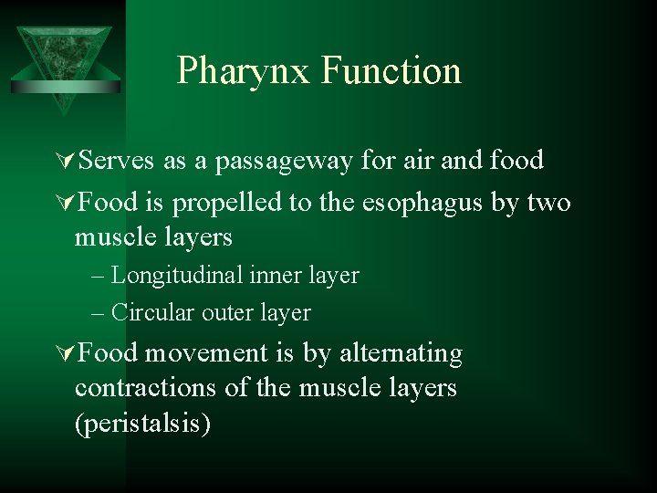 Digestive System Pharynx Function Serves as a passageway