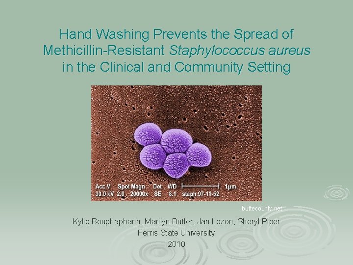 Hand Washing Prevents the Spread of MethicillinResistant Staphylococcus