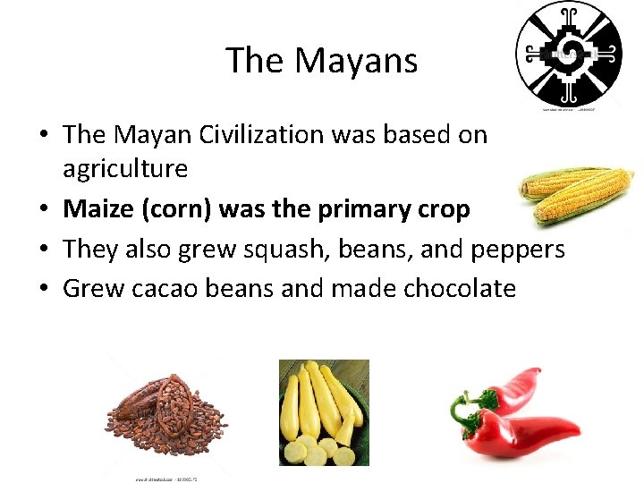 Central and South American Civilizations Central and South